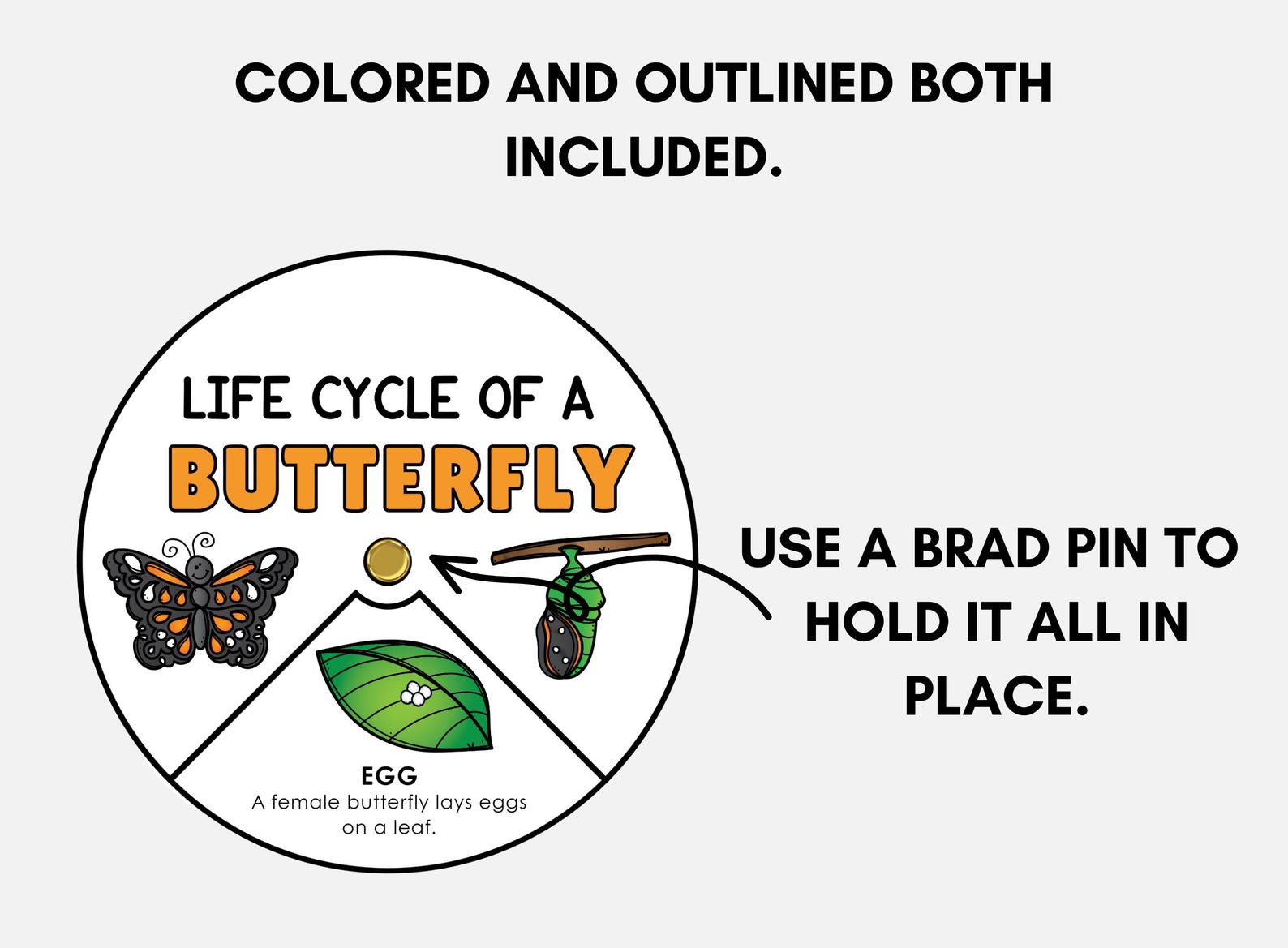 Butterfly Lifecycle Craft, Spring Coloring Activity, Life Cycle of a ...
