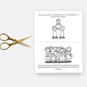 Jesus and the Widow's Son, Printable Mini Bible Book, Miracles of Jesus ...