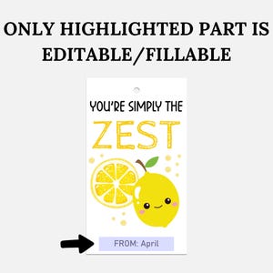 Teacher Appreciation Gift Tag, You're the Zest, Printable Thank You ...