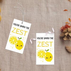 Teacher Appreciation Gift Tag, You're the Zest, Printable Thank You ...