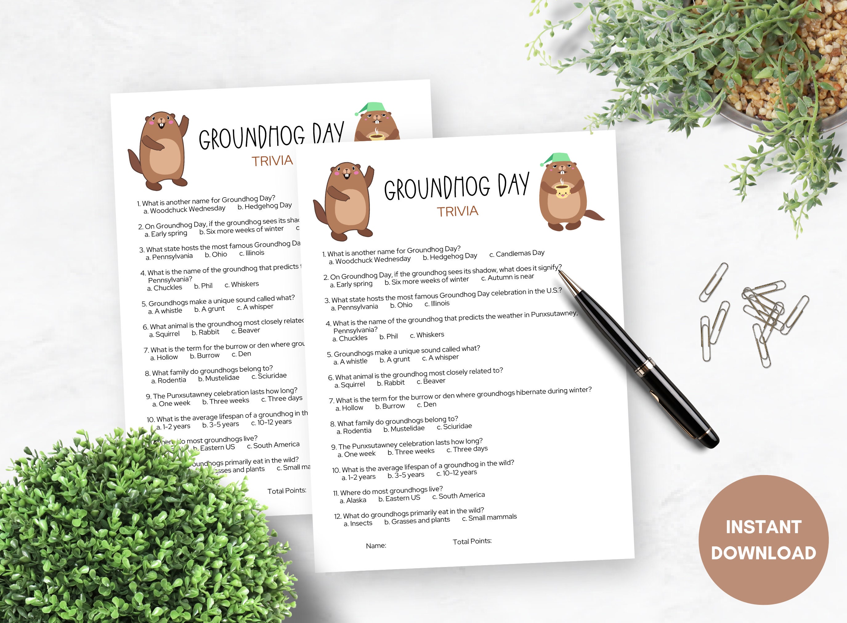 Groundhog Day Trivia, Fun Groundhog Party Game for Kids and Adults ...