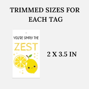 Teacher Appreciation Gift Tag, You're the Zest, Printable Thank You ...
