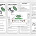 Palm Sunday Bible Lesson, Triumphal Entry, Holy Week Printable ...