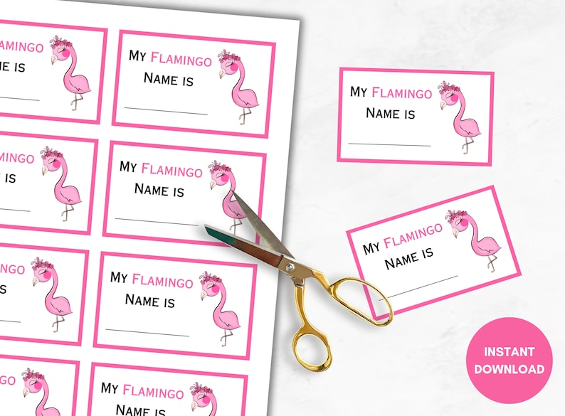 Whats Your Flamingo Name, Summer Party Game for Kids and Adults, Pink ...
