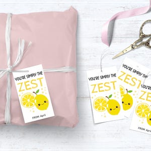 Teacher Appreciation Gift Tag, You're the Zest, Printable Thank You ...