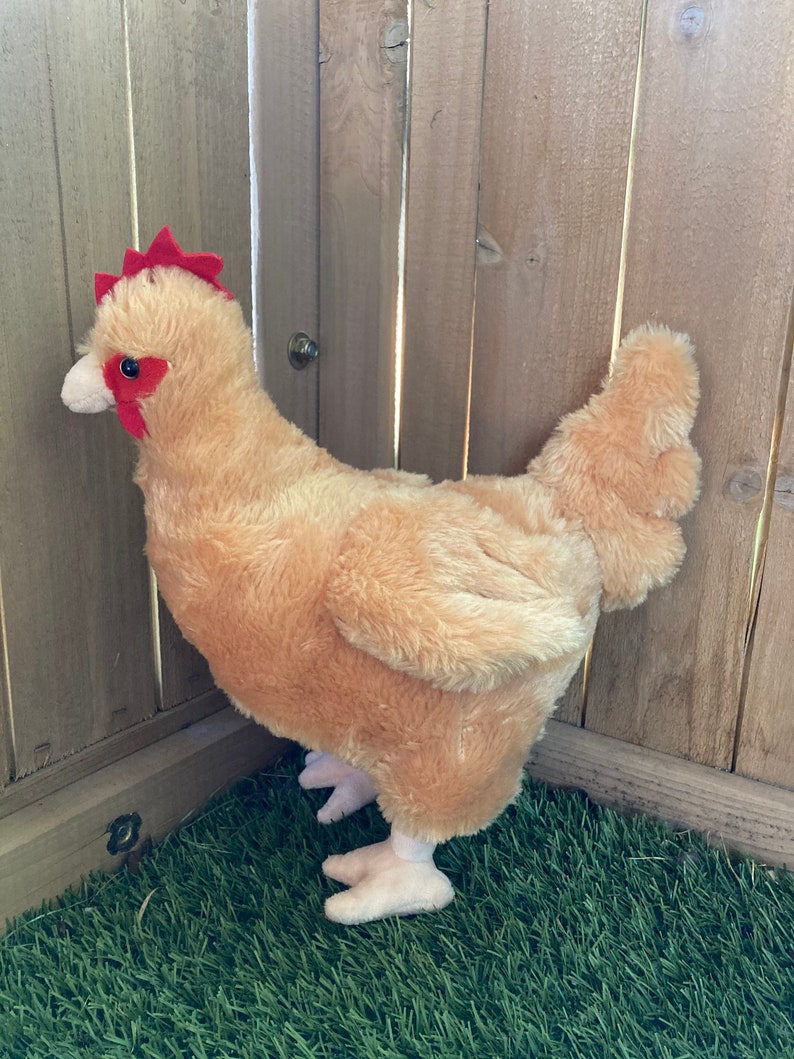 12" Stuffed Realistic Chicken Plush Toy - Etsy