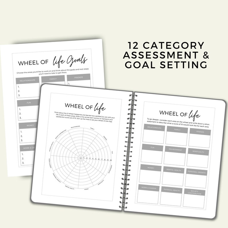 Wheel of Life Template Goal Setting Worksheets Level 10 - Etsy