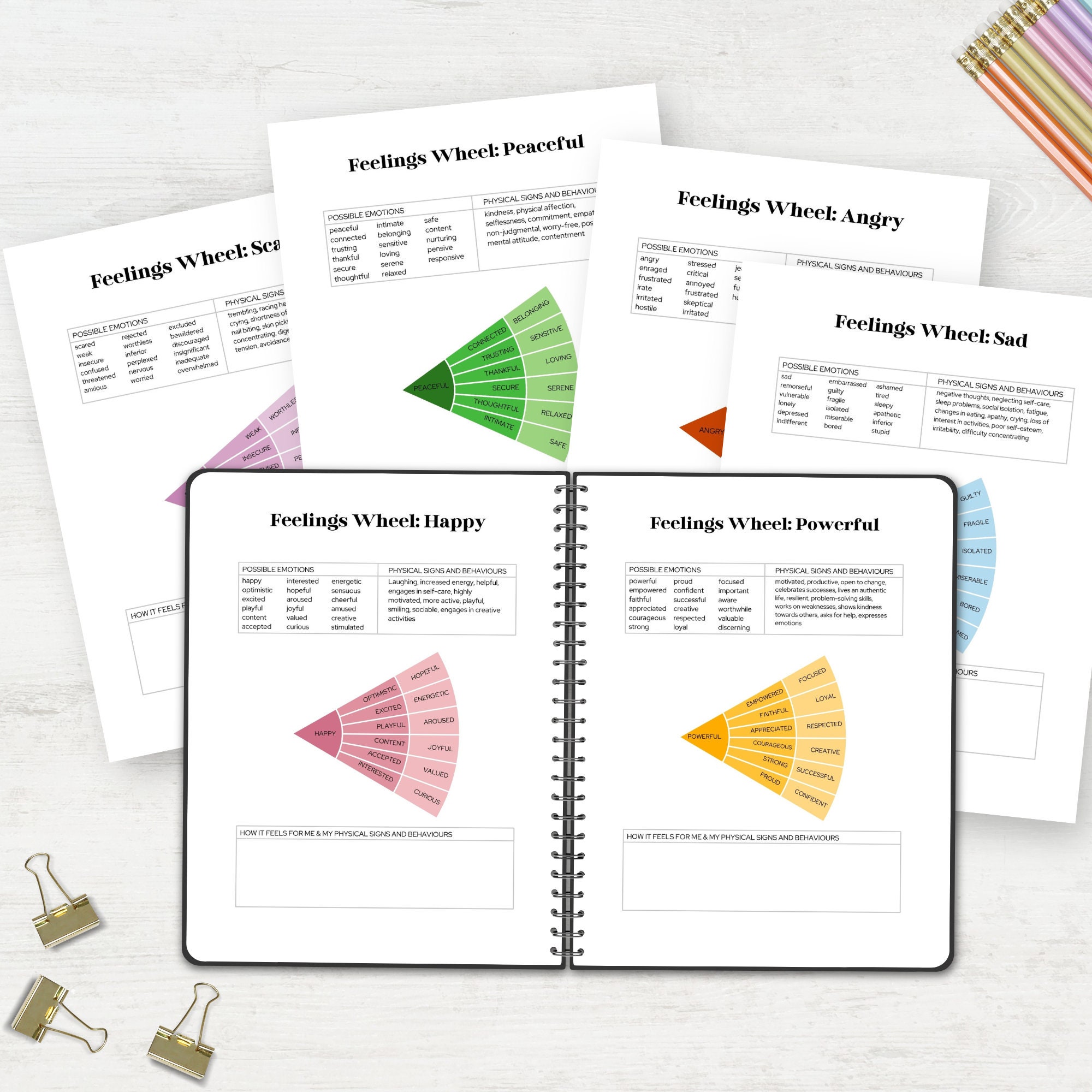 Emotional Regulation for Teens, Processing Emotions Workbook for Young ...