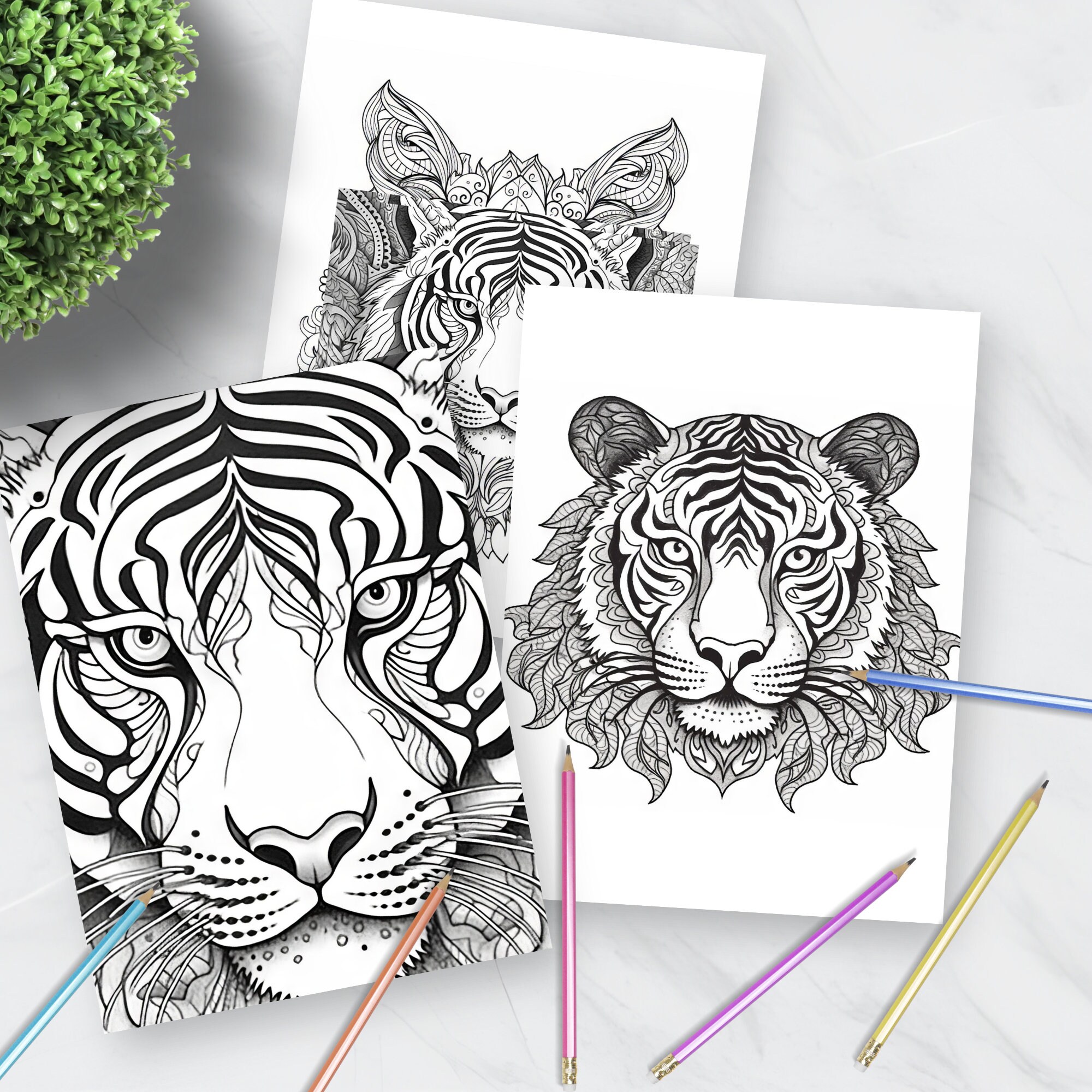 Cat Coloring Therapy for Mindfulness, Feline Color Sheets Pages for ...