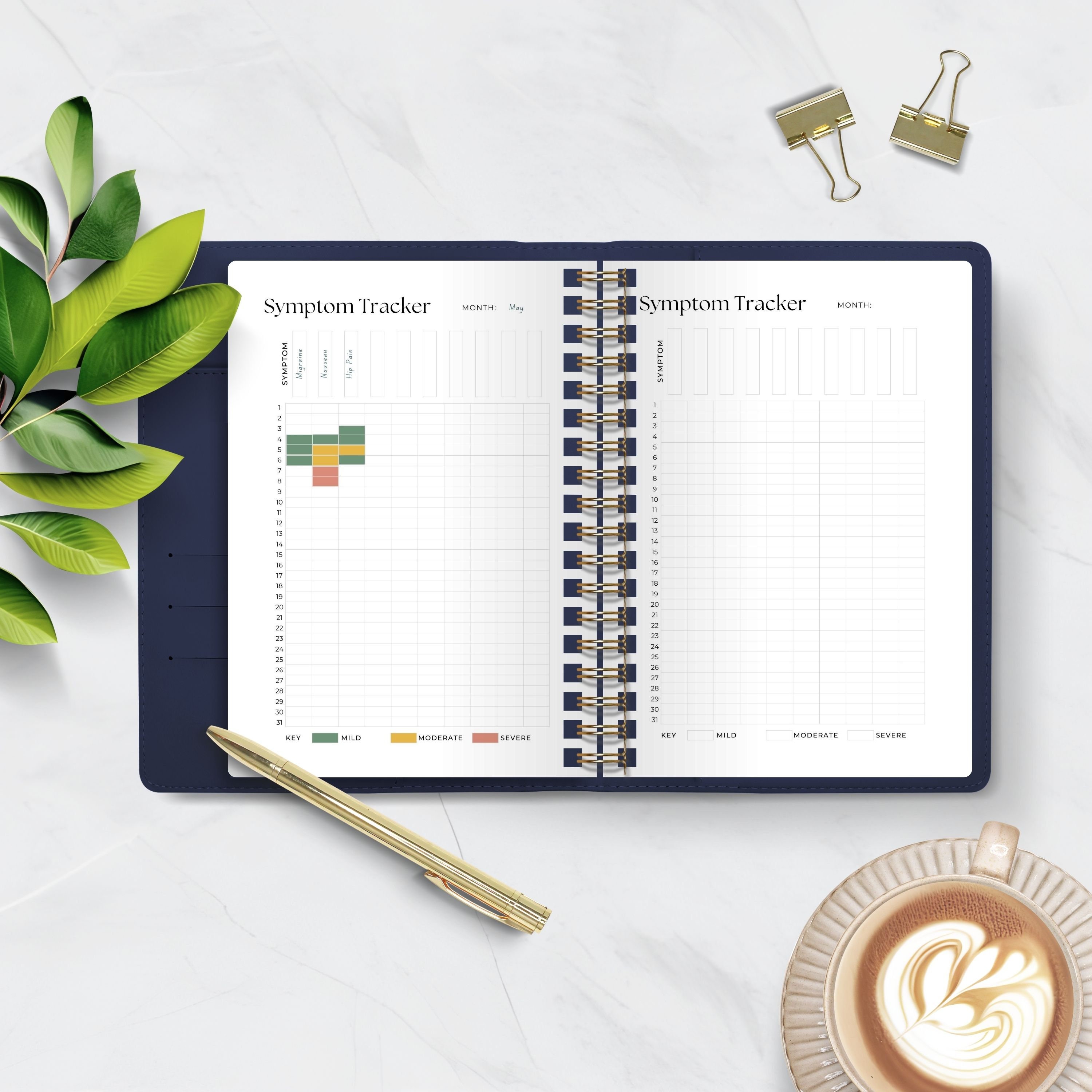 Daily Symptom Tracker Printable, Health and Chronic Illness Log ...