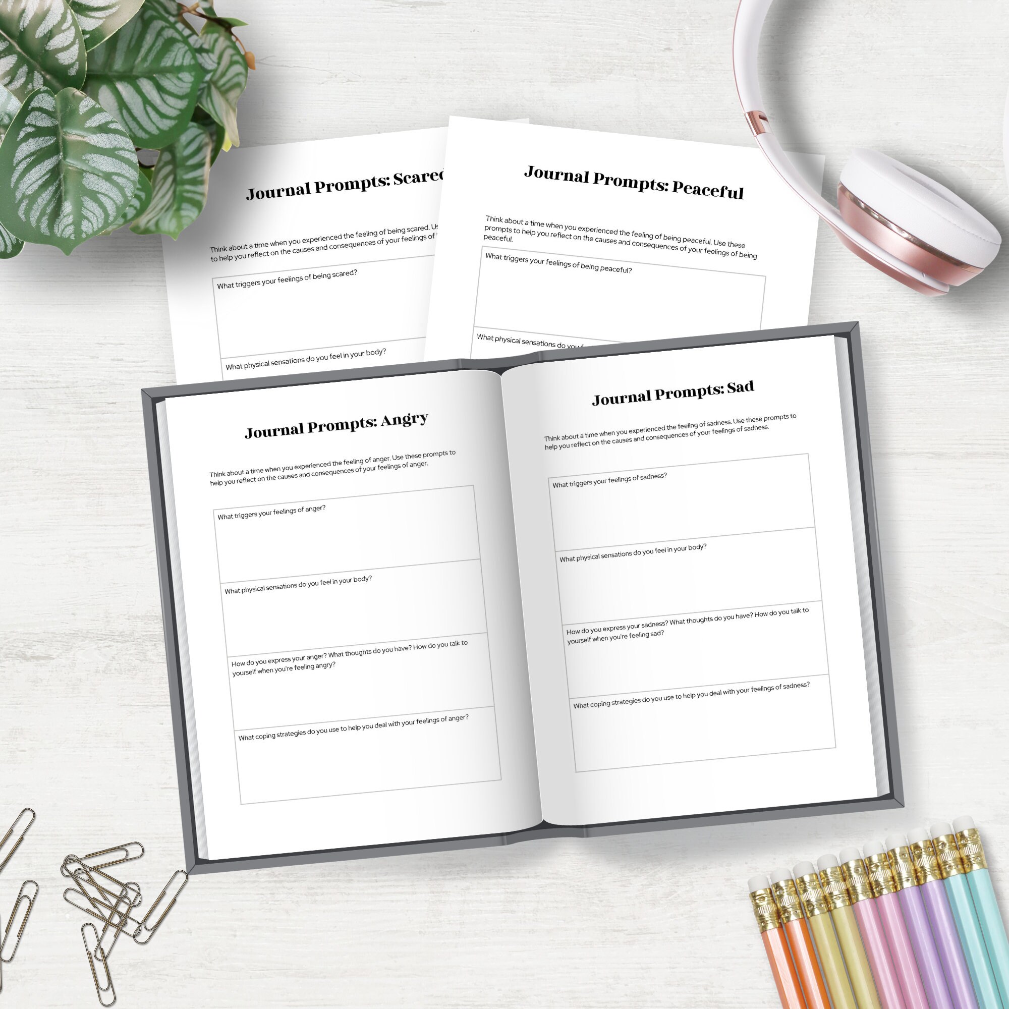 Emotional Regulation for Teens, Processing Emotions Workbook for Young ...