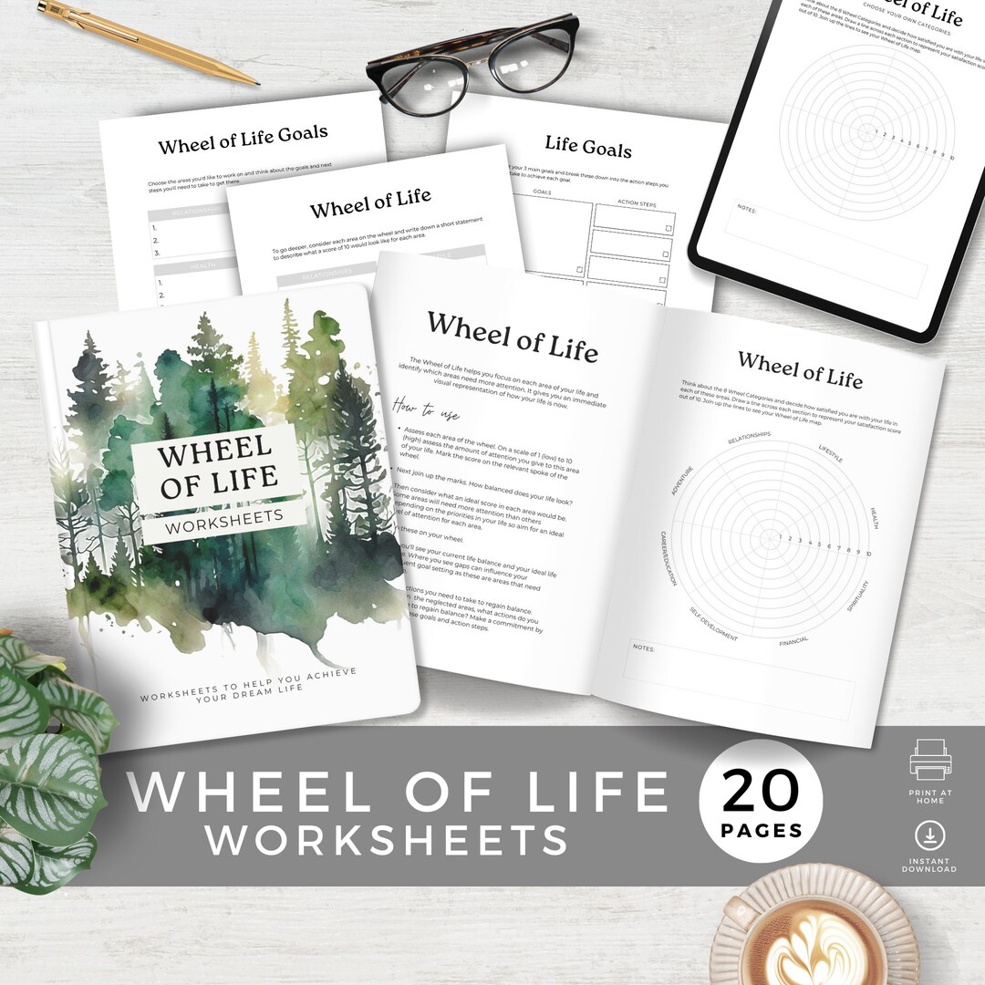 Wheel of Life Workbook for Men, Level 10 Dream Life, Goal Setting ...