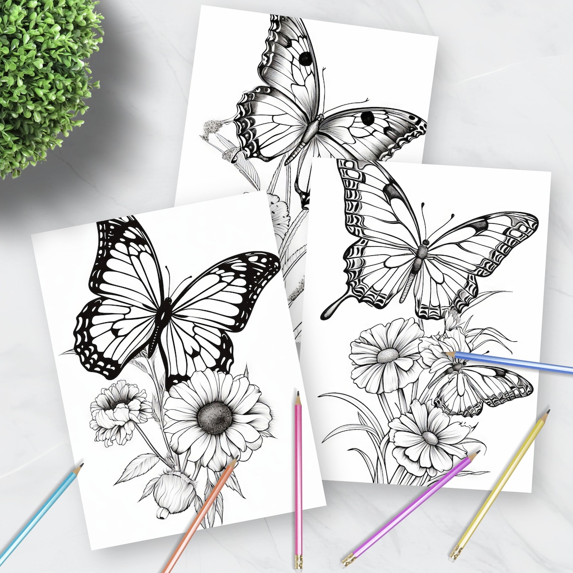 Butterfly Coloring Sheets Printable for Mindfulness and Relaxation ...