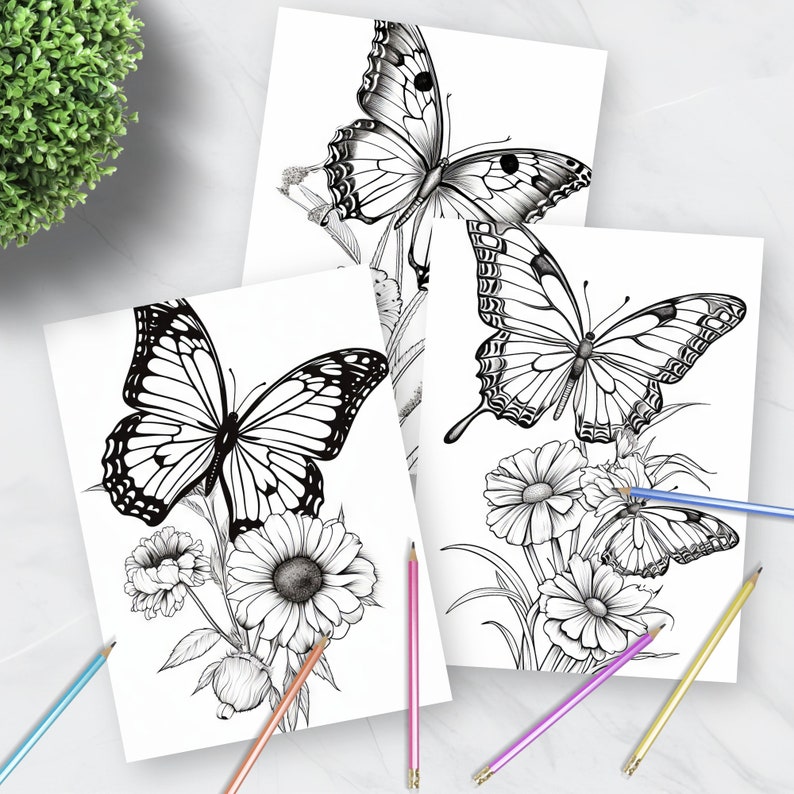Butterfly Coloring Sheets Printable for Mindfulness and Relaxation ...
