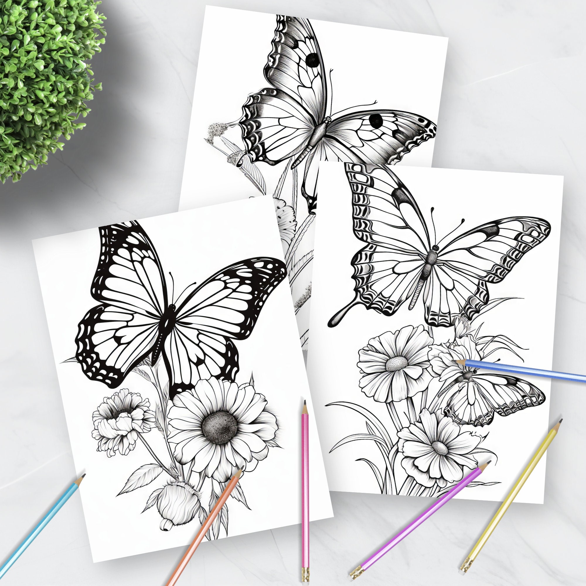 Butterfly Coloring Sheets Printable for Mindfulness and Relaxation ...
