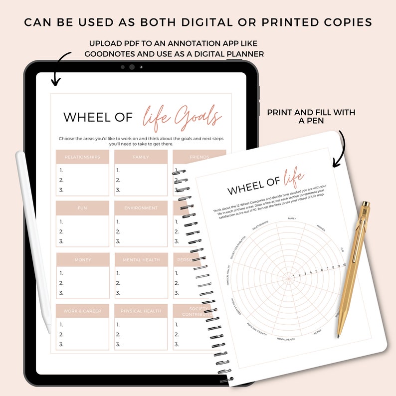 Wheel of Life Coaching Template, Goal Setting Worksheets, Level 10 ...