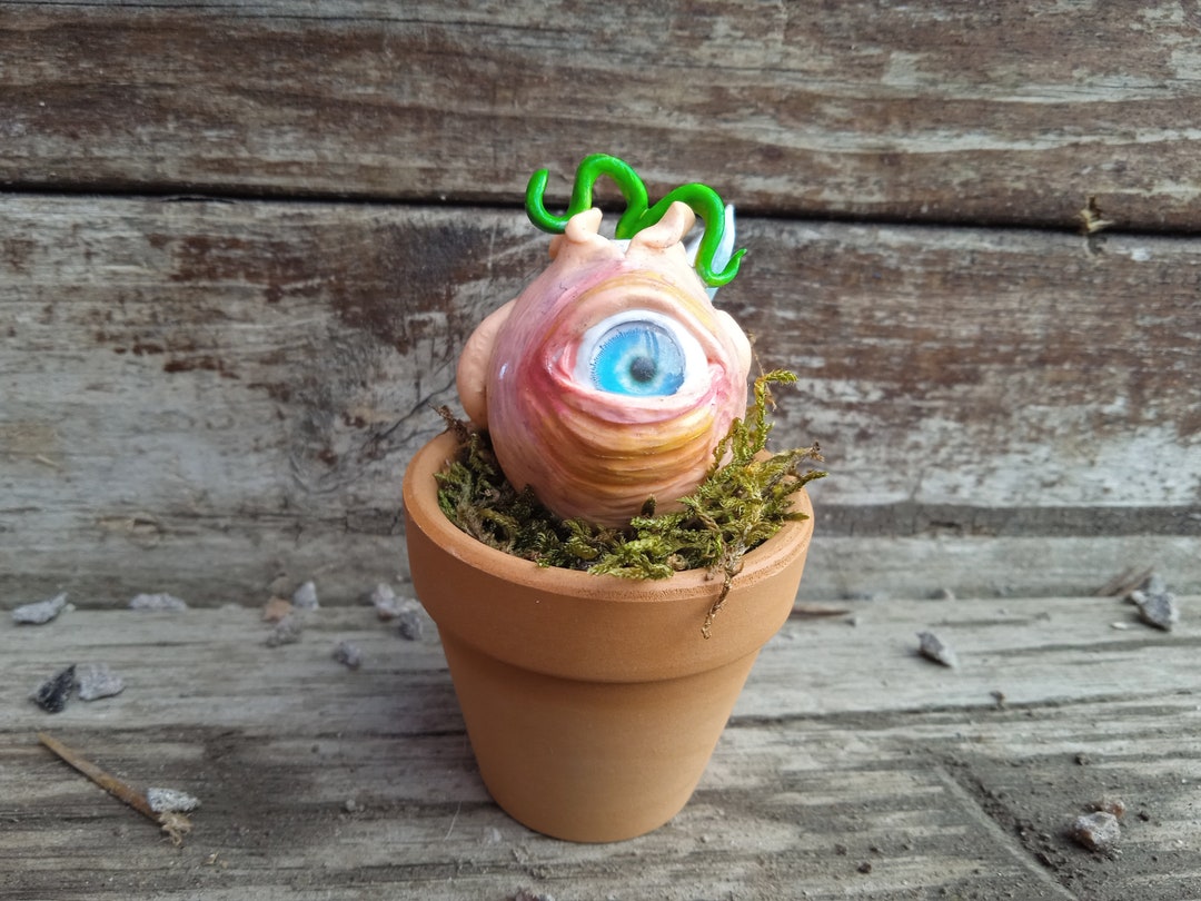 Serial Killer Plant Seedling - Etsy