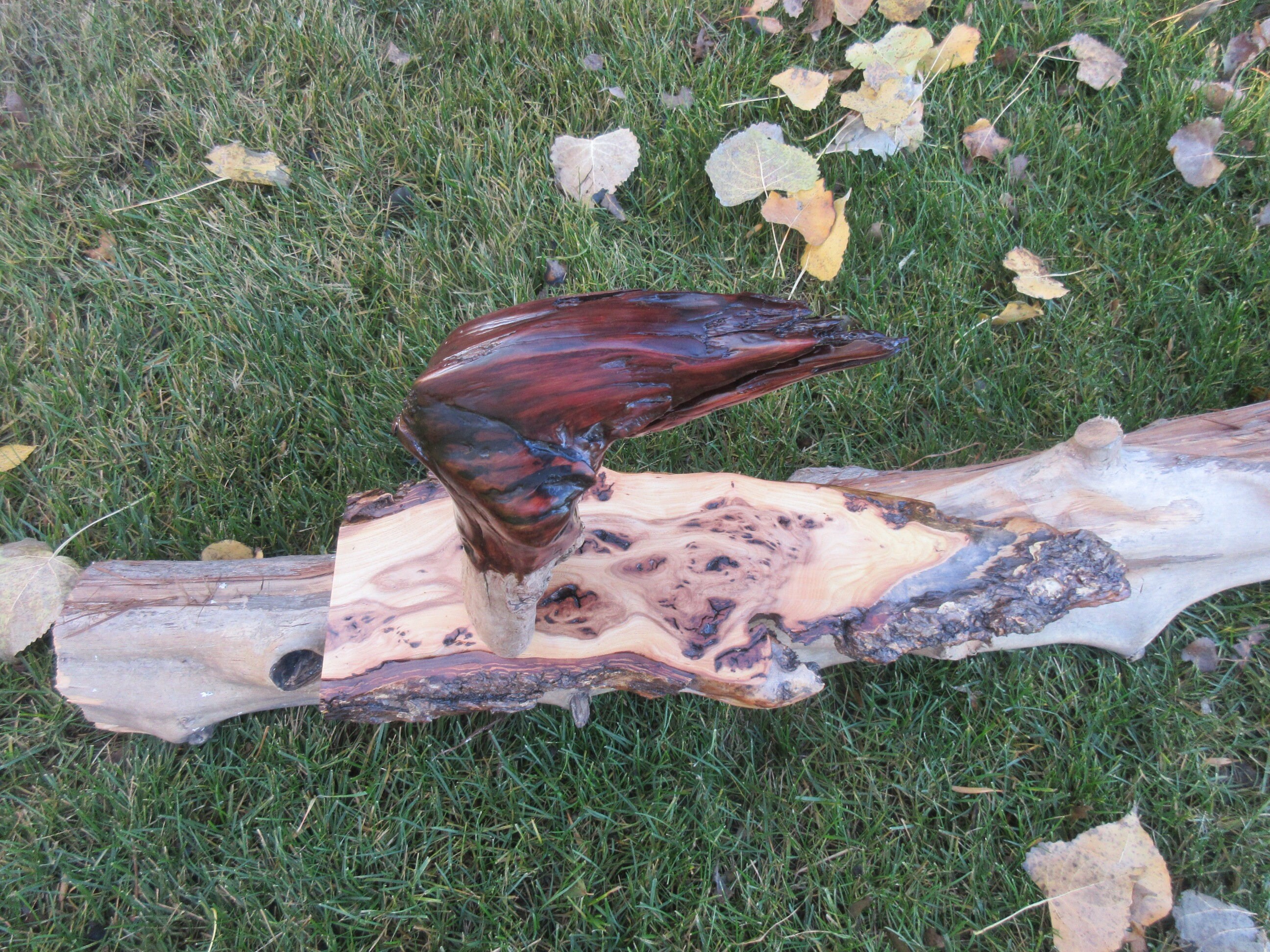 Abstract Wildlife Art, Driftwood Art - Cedar Wood Art, Shelf Art, Wall ...