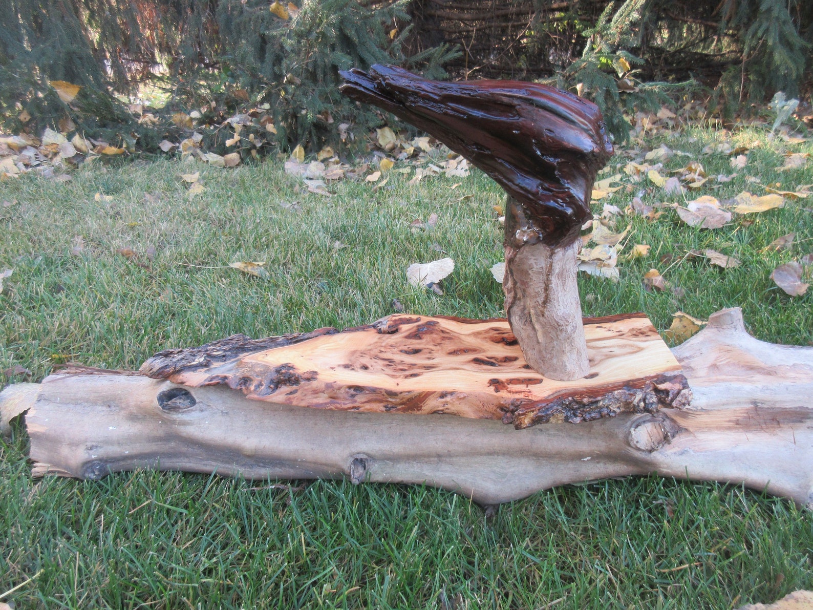 Abstract Wildlife Art, Driftwood Art - Cedar Wood Art, Shelf Art, Wall ...