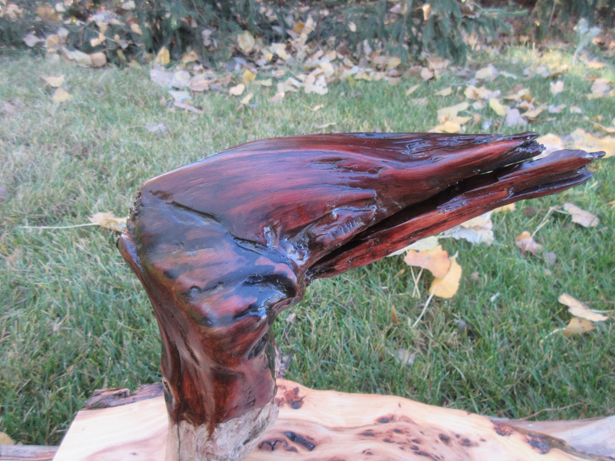 Abstract Wildlife Art, Driftwood Art - Cedar Wood Art, Shelf Art, Wall ...