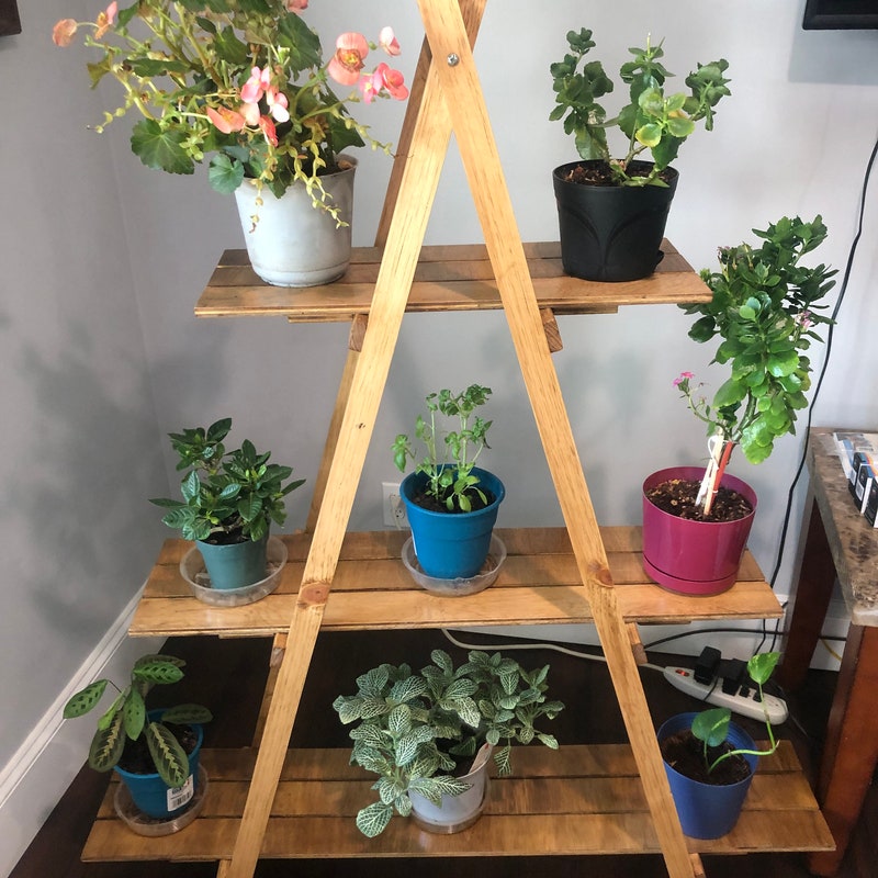 Plant Ladder - Etsy