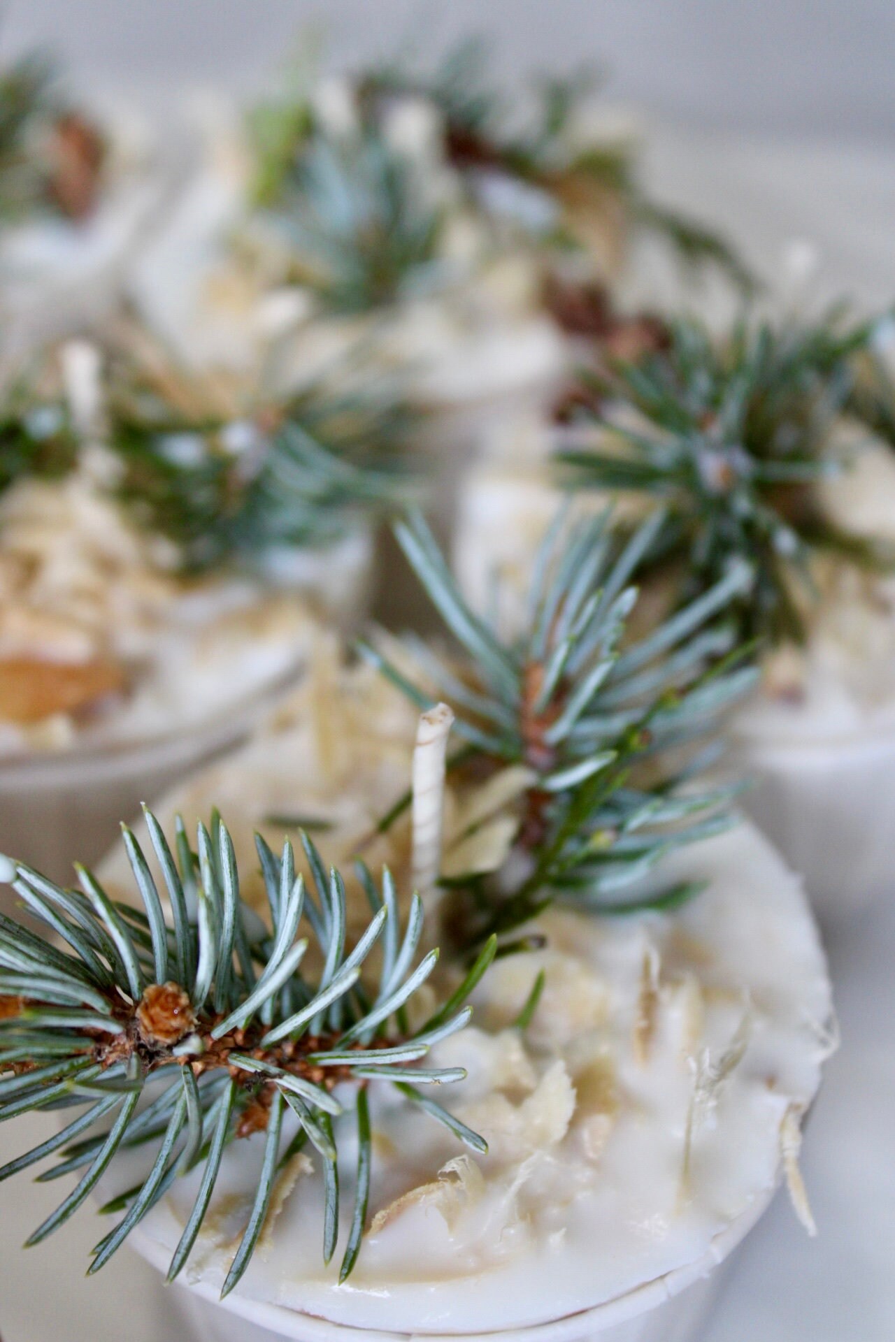 6 Pack Handmade Scented Fire Starters Fire Pit Campfire Kindling Eco ...