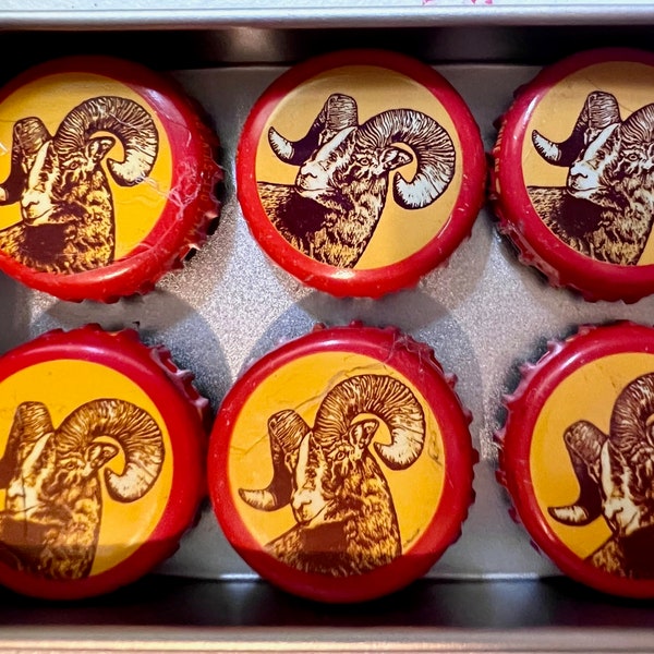 Beer Cap Magnets - Etsy