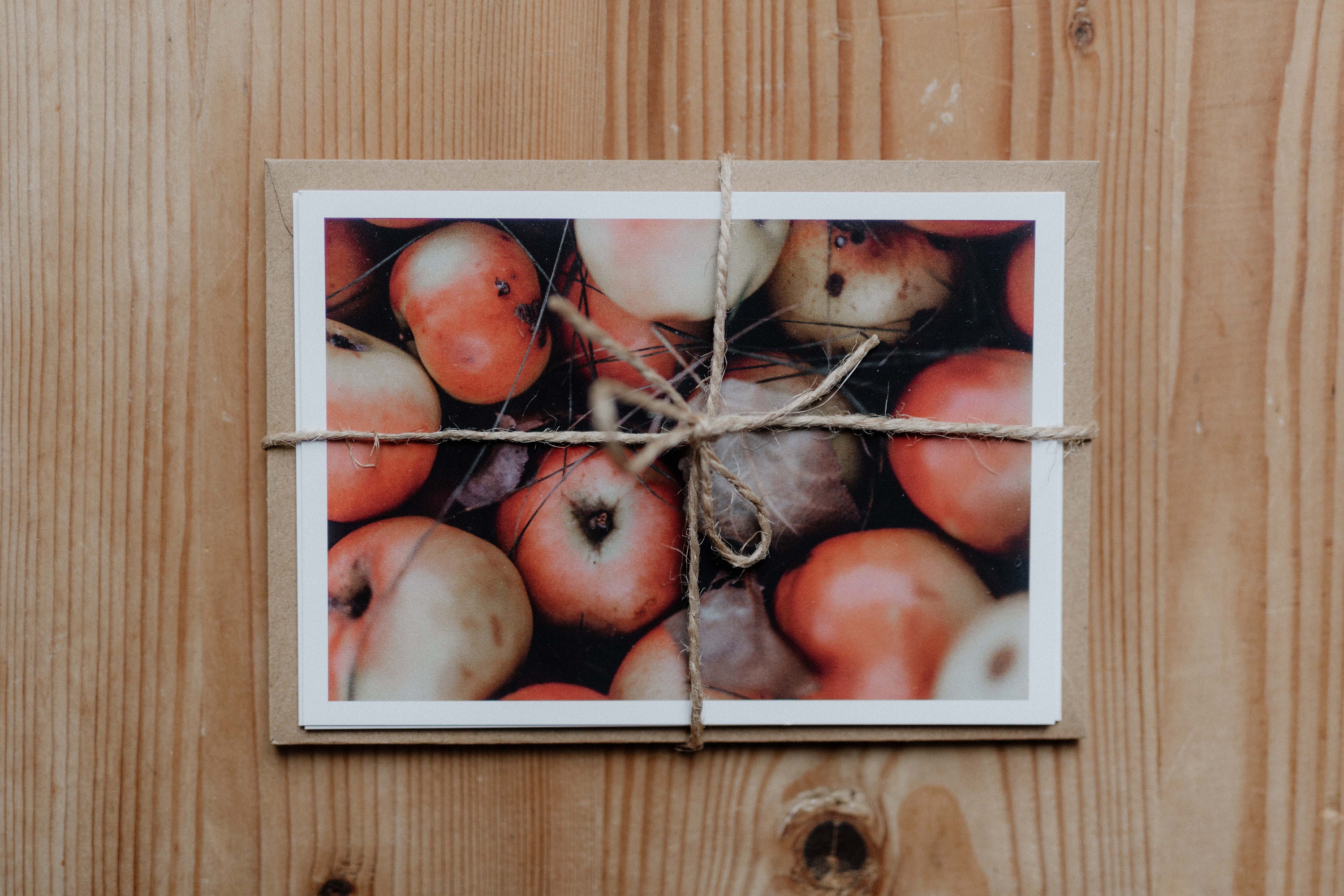 Set of 5 Postcards APPLE HARVEST Photo Postcards Apples & Country Love ...