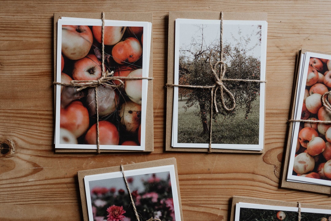 Set of 5 Postcards APPLE HARVEST Photo Postcards Apples & Country Love ...