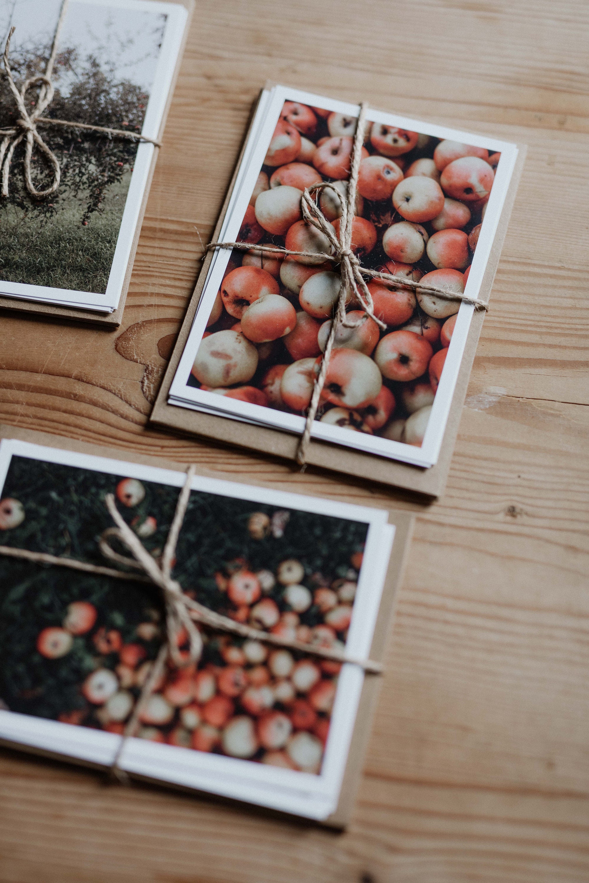Set of 5 Postcards APPLE HARVEST Photo Postcards Apples & Country Love ...