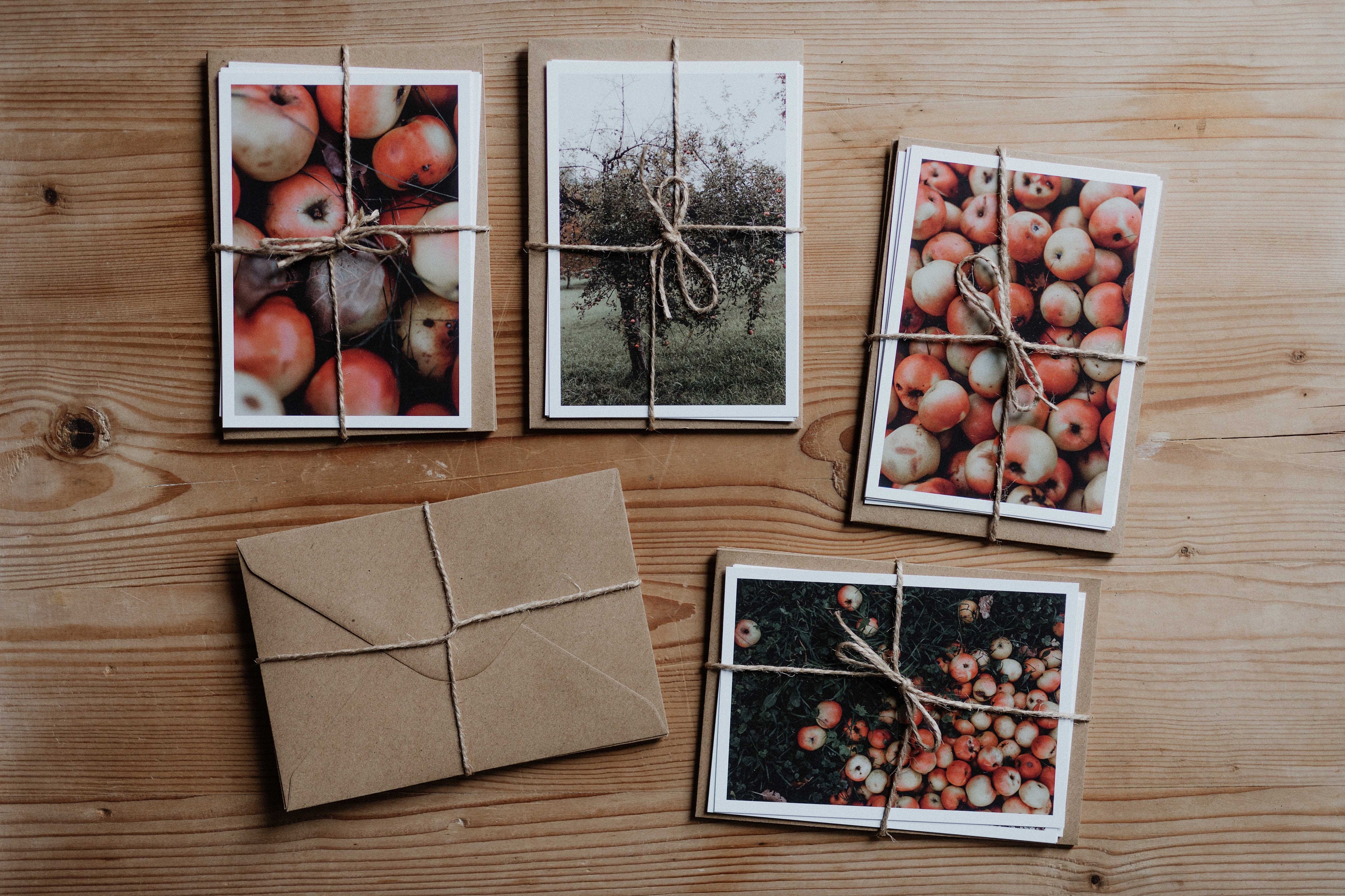 Set of 5 Postcards APPLE HARVEST Photo Postcards Apples & Country Love ...