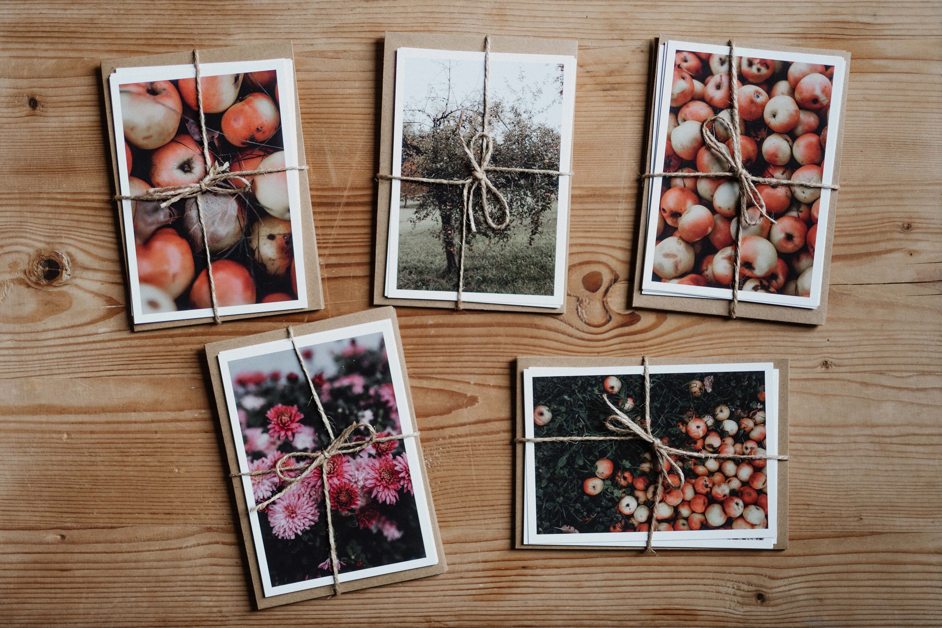 Set of 5 Postcards APPLE HARVEST Photo Postcards Apples & Country Love ...