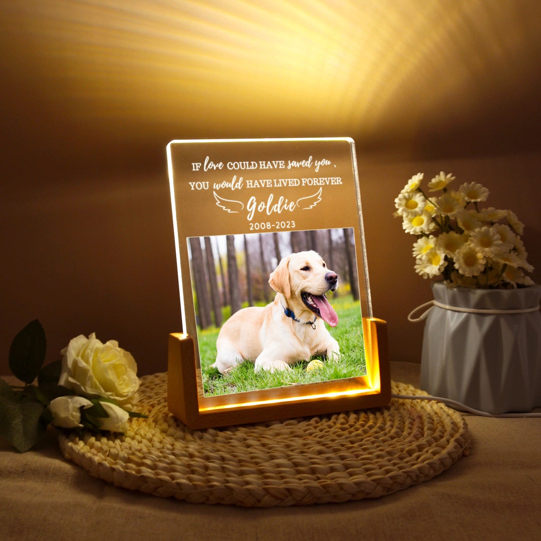 Light up Pet Memorial Plaque,dog Memorial Gifts for Loss of Dog,custom ...