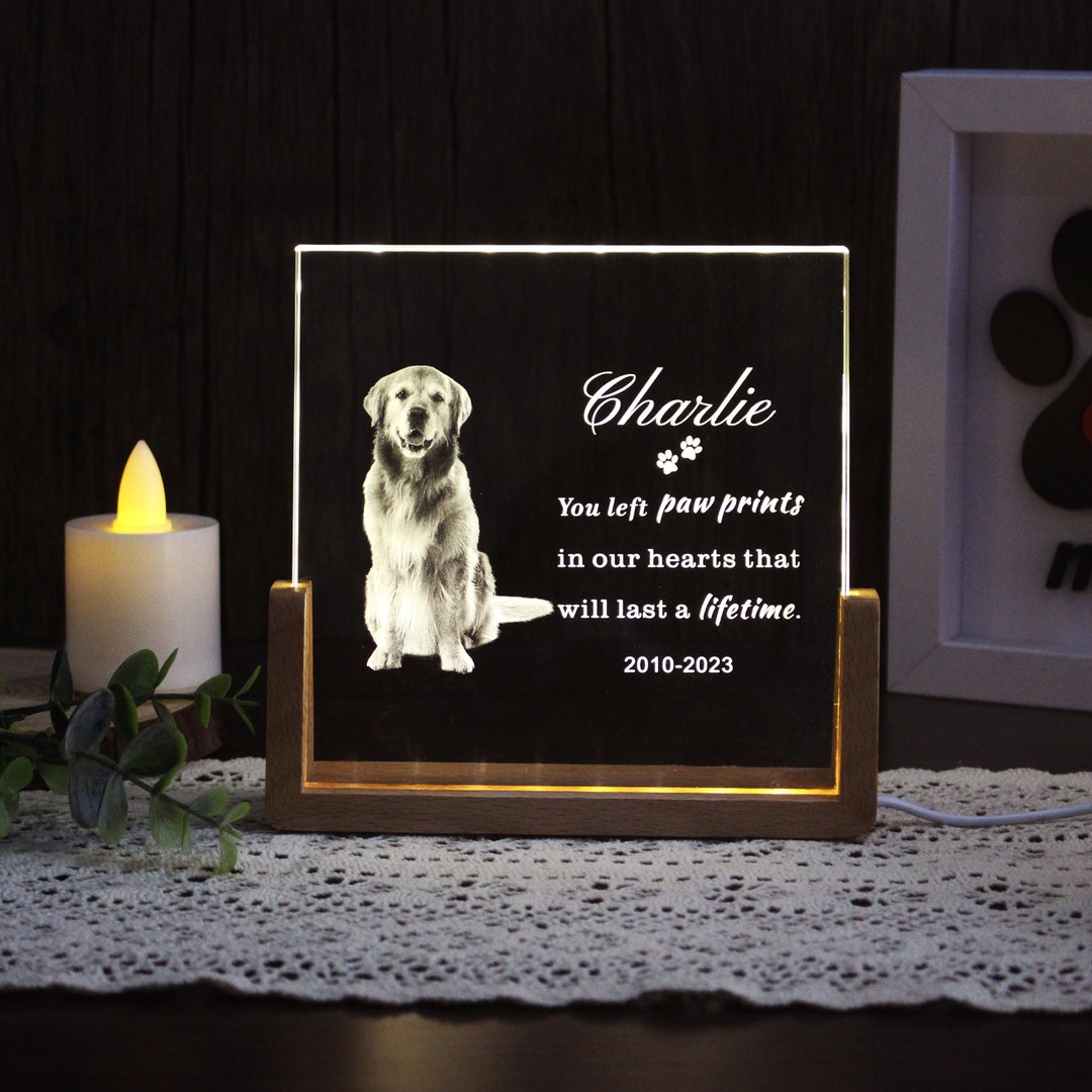 Light up Pet Memorial Plaque,crystal Engraved Pet Photo Night Light,pet ...
