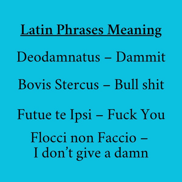 Latin Stickers, Funny Sticker Sheets, Latin Phrase, Latin Quotes, Gift ...