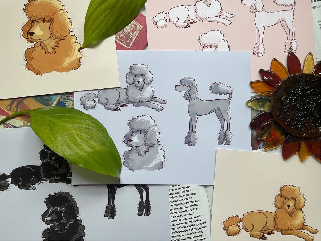 Poodle Poster, Glossy Art Print, Wall Art gift, Pastel, Cottagecore ...