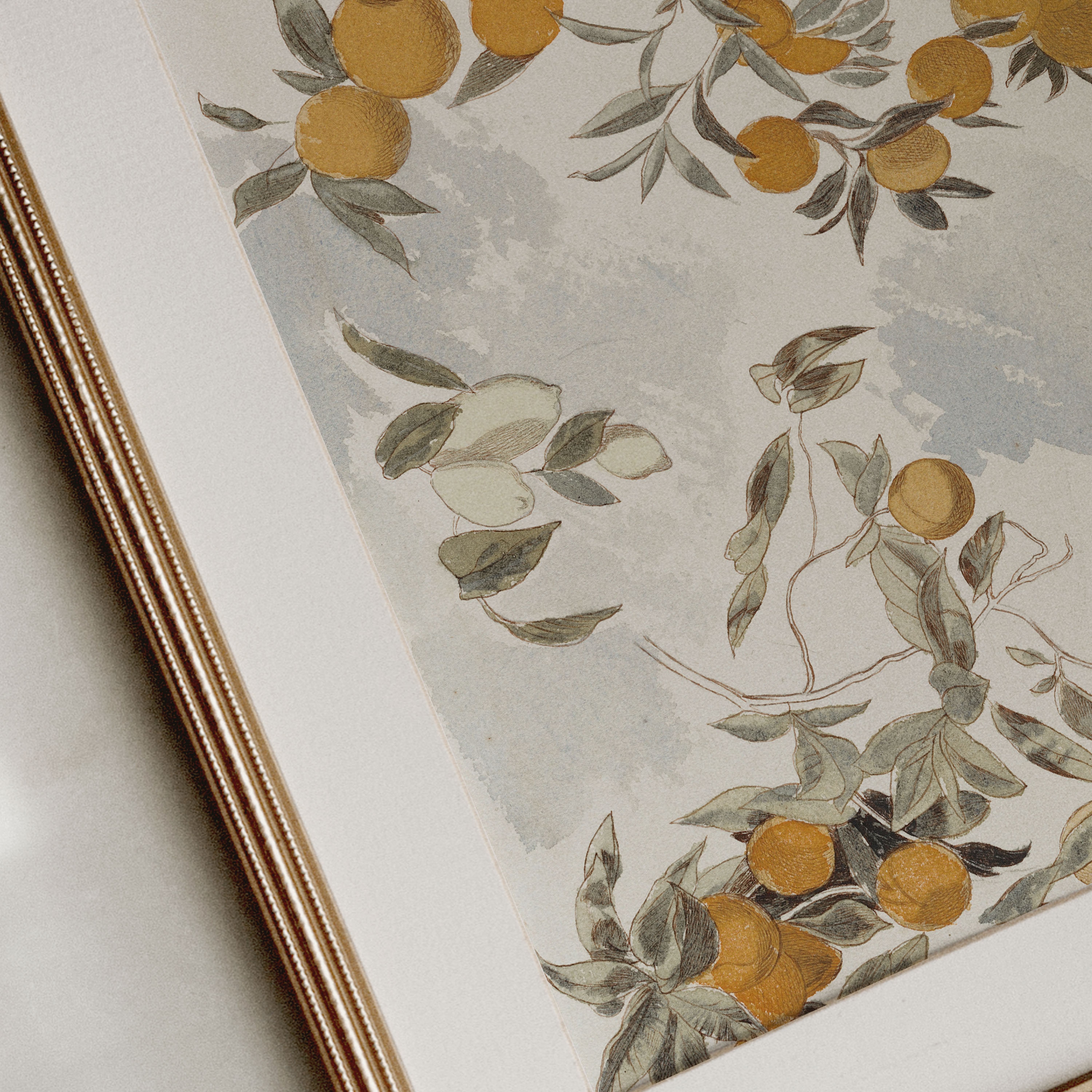 Vintage Gallery Wall Set | Antique Sumer Art Prints | Mediterranean ...