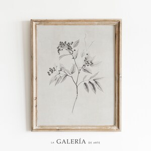 Botanical Sketch Branch Drawing Nature Print - Etsy