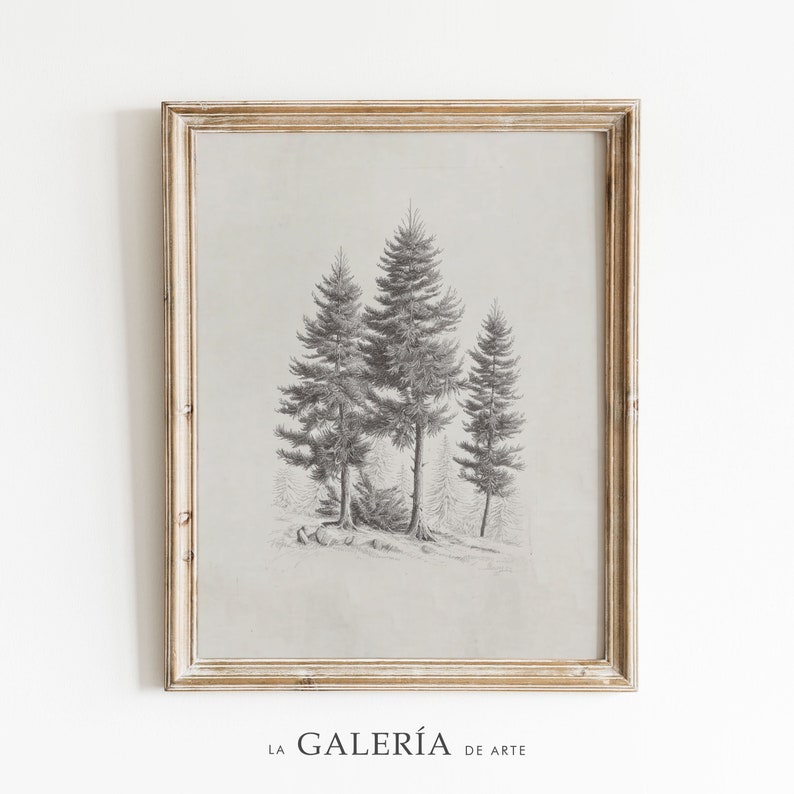 Pine Tree Sketch Art | Tree Drawing Print | Minimalist Wall Art - Etsy