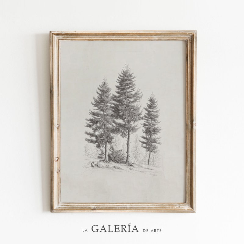 Pine Framed Wall Art - Etsy