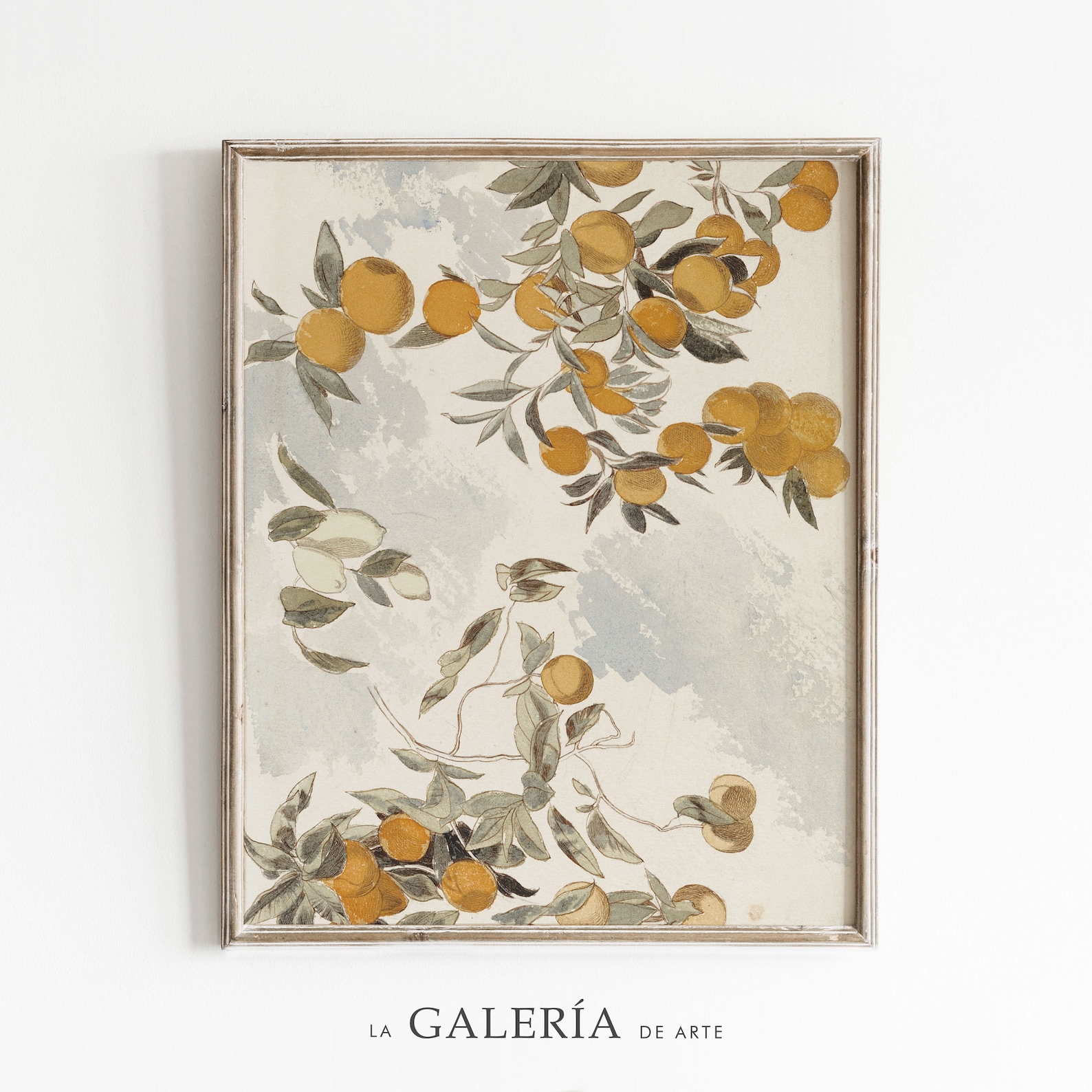 Vintage Gallery Wall Set | Antique Sumer Art Prints | Mediterranean ...
