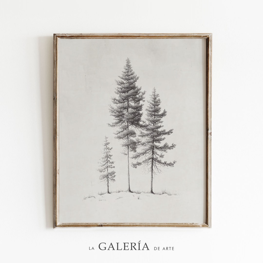Pine Tree Sketch Art | Tree Drawing Print | Minimalist Wall Art - Etsy
