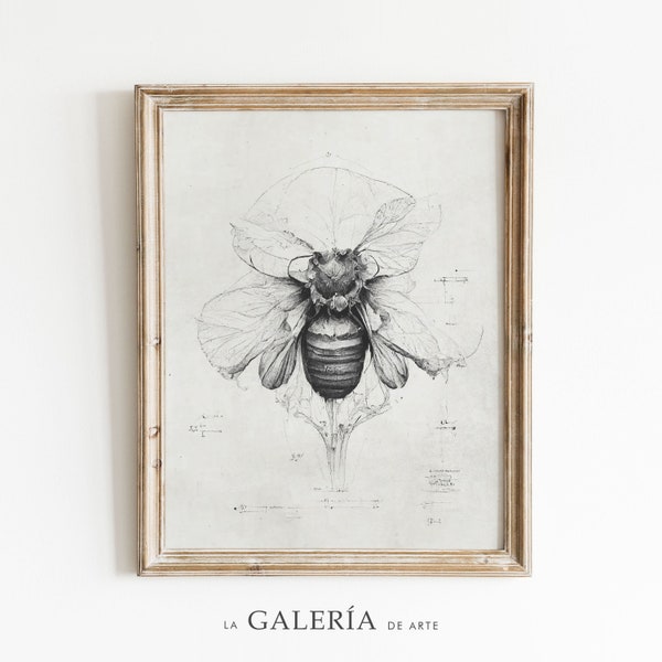 Vintage Bee Print - Etsy