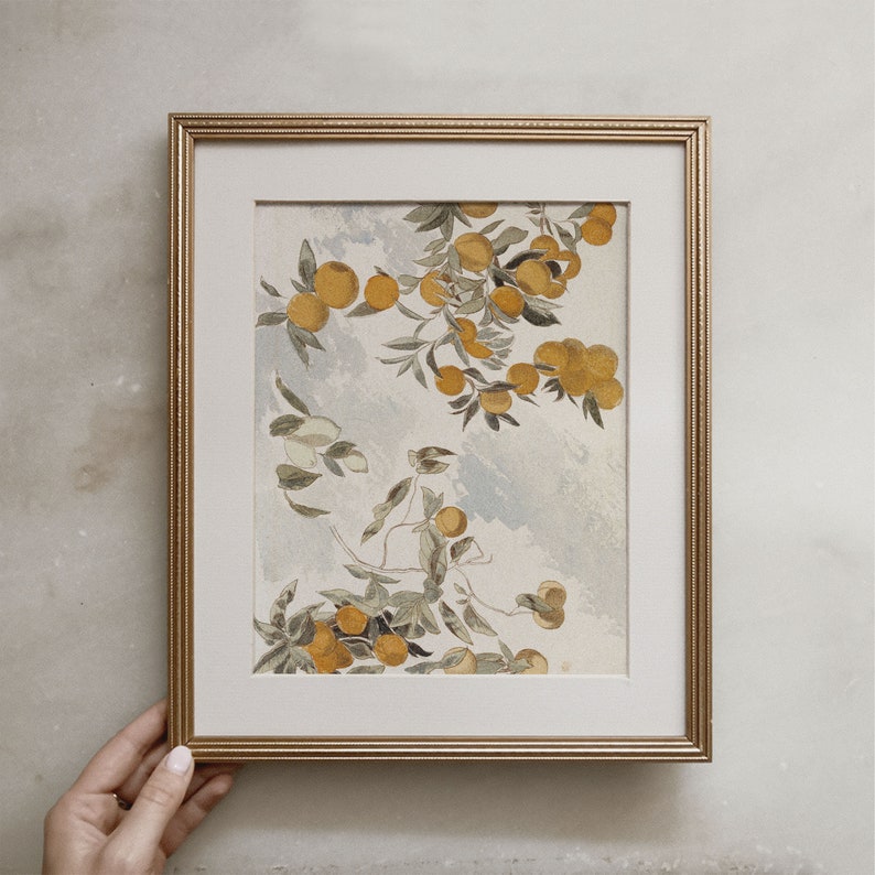 Vintage Gallery Wall Set | Antique Sumer Art Prints | Mediterranean ...
