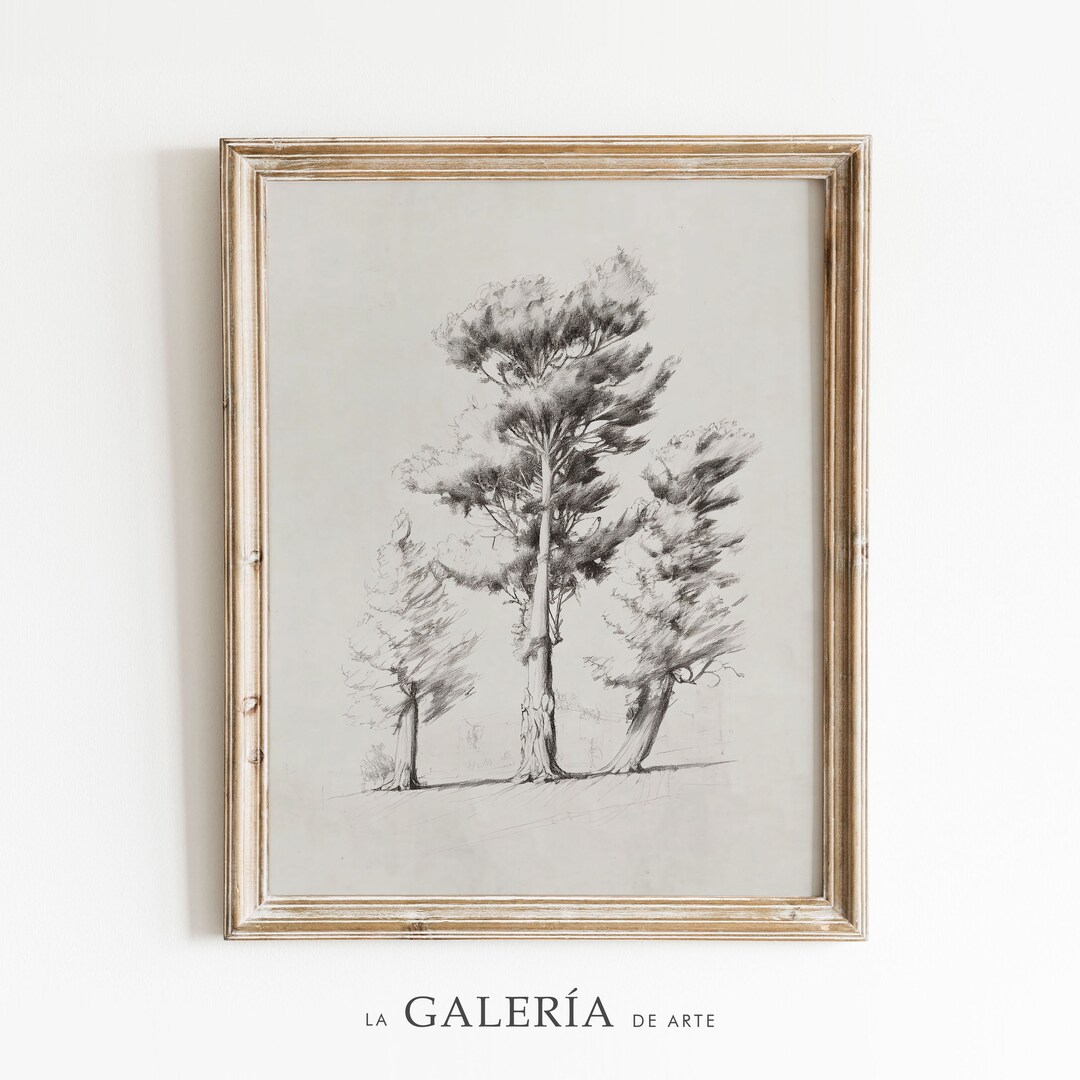 Pine Tree Sketch Art Tree Drawing Print Minimalist Wall Art - Etsy
