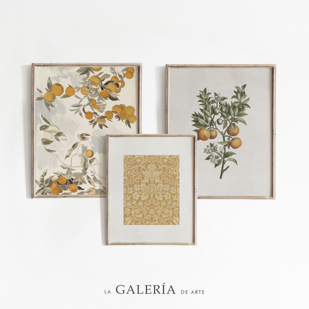 Vintage Gallery Wall Set | Antique Sumer Art Prints | Mediterranean ...