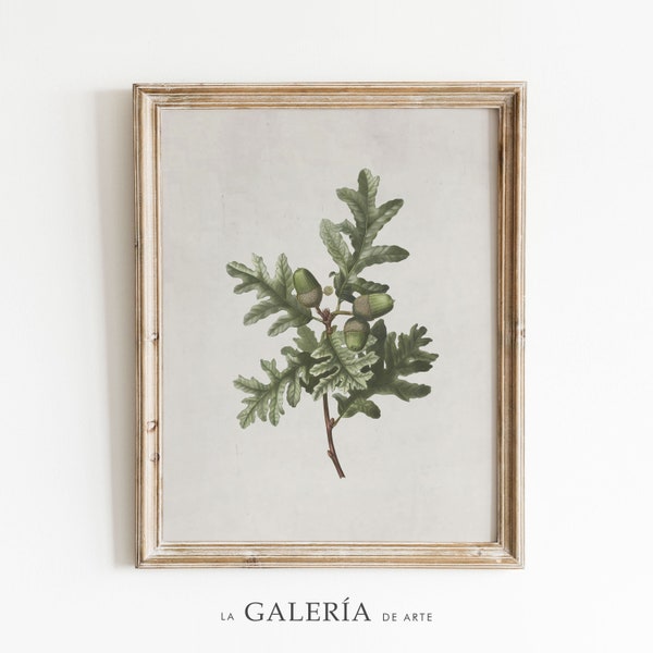 Oak Tree Print - Etsy