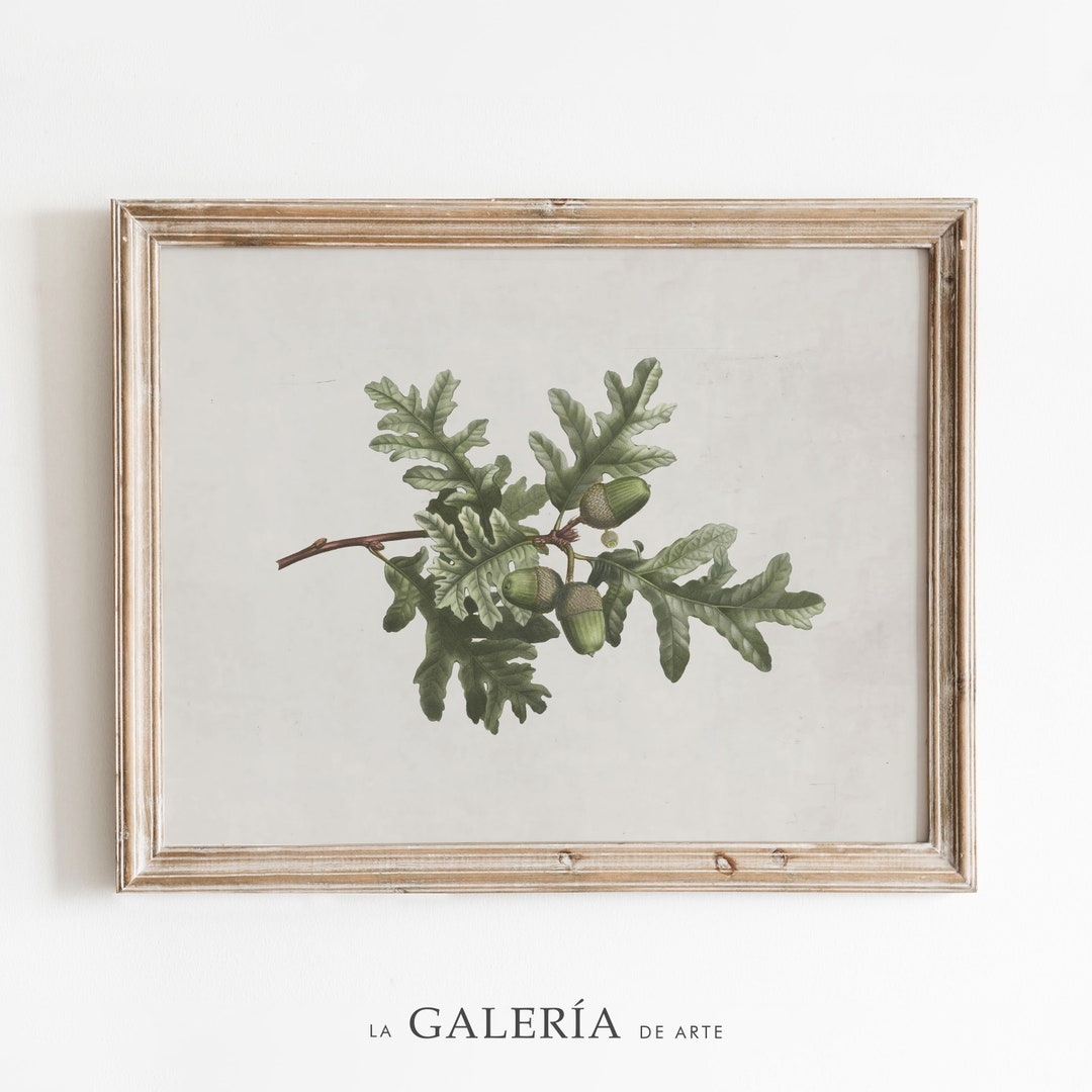 Summer Botanical Print Oak Tree Branch Print Vintage Painting - Etsy