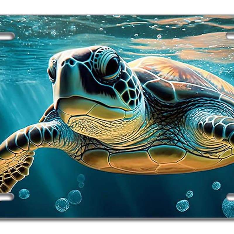 Car License Plate Turtles - Etsy