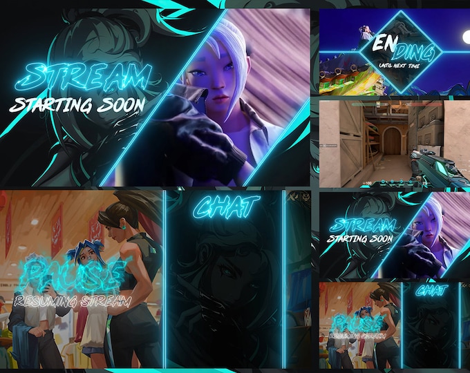 Map Cover for Valorant Jett Kitty Kunai| Valorant Overlay | HUD ...